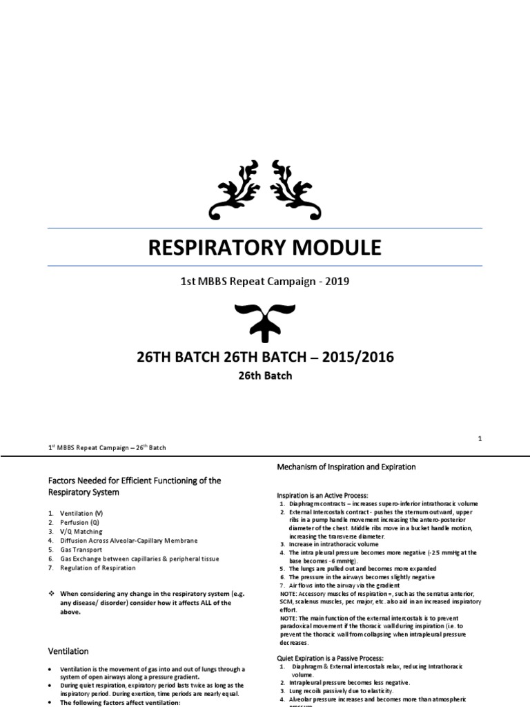Respiratory System Bat Notes | PDF