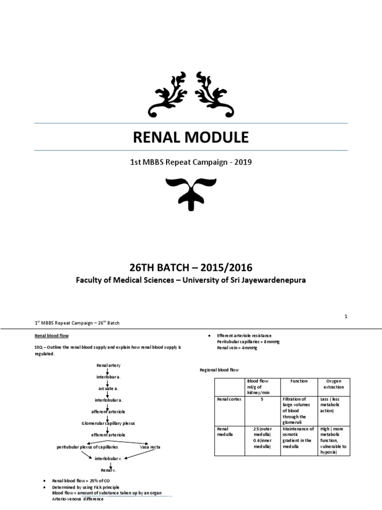 Renal System Bat Notes | PDF | Kidney | Angiotensin