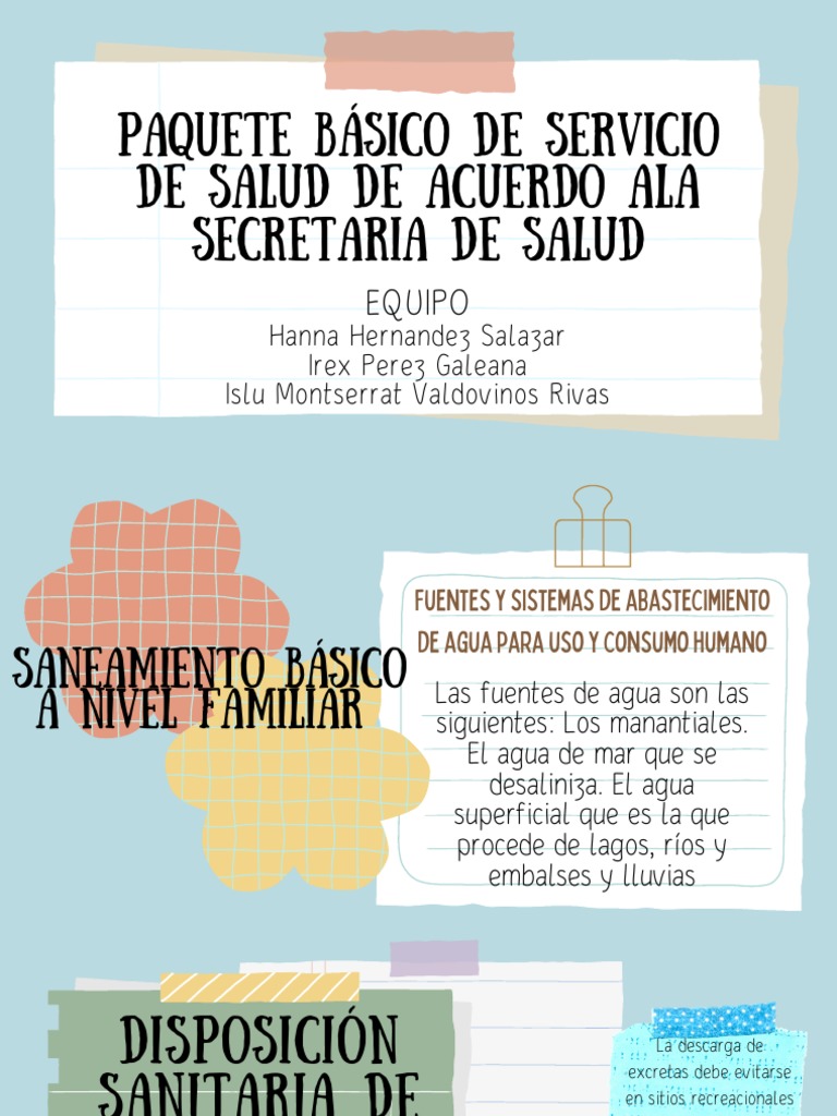 Paquete Básico de Salud 2 | PDF | Diarrea | Parto