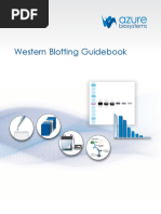 ImageJ Gel Analysis | PDF | Western Blot | Image Scanner
