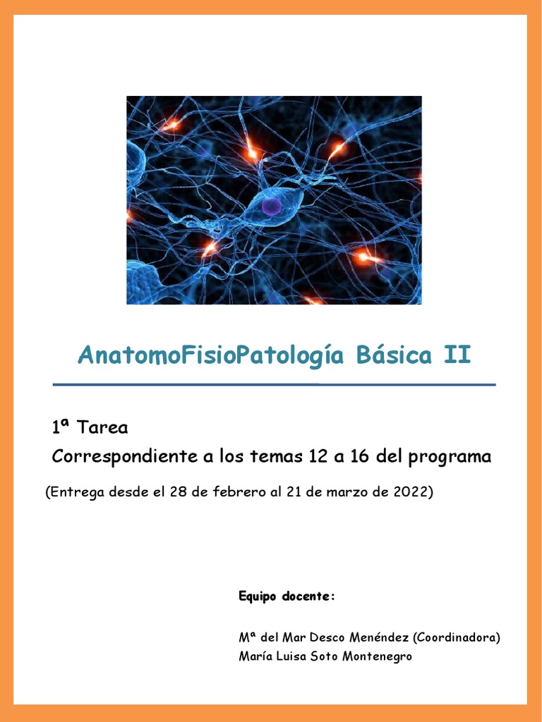 Tarea1 AFPII | PDF