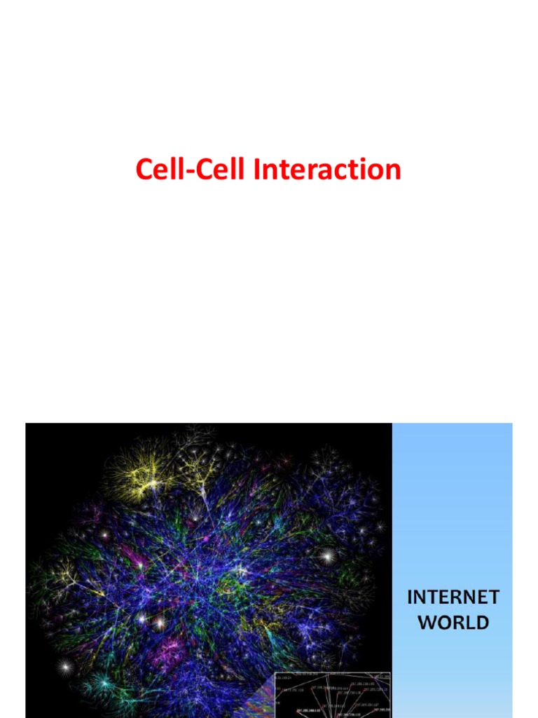 Cell Cell Interaction | PDF