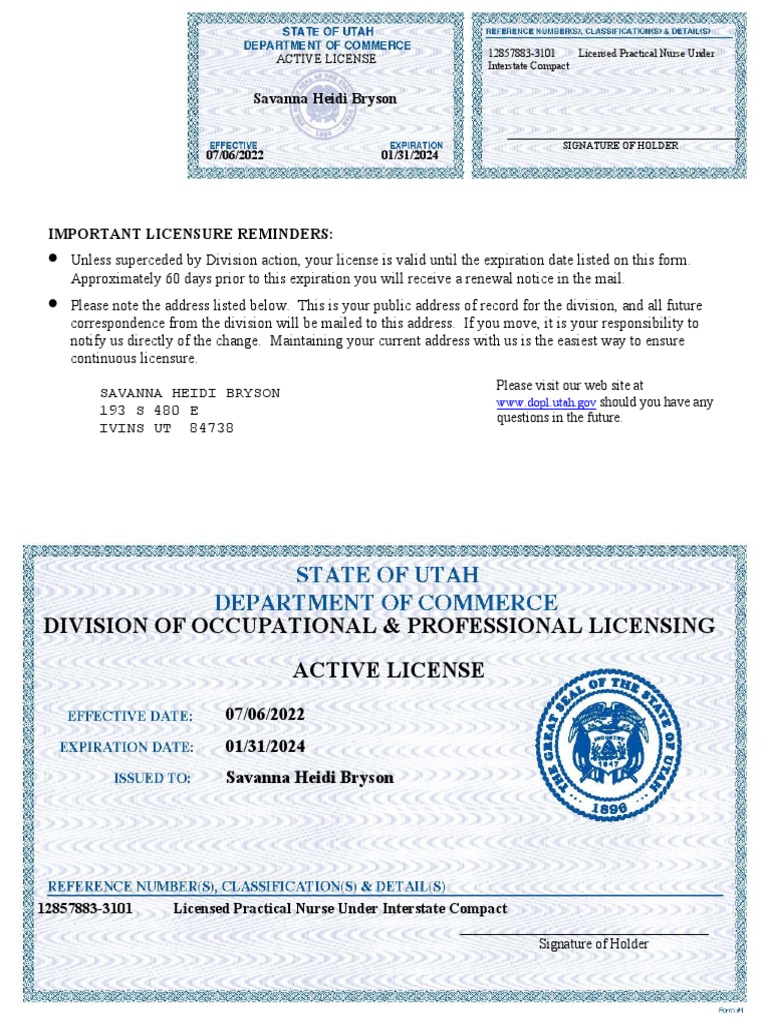 Dopl Nurse and PT License2471812694153948763 2 | PDF | Finance & Money ...