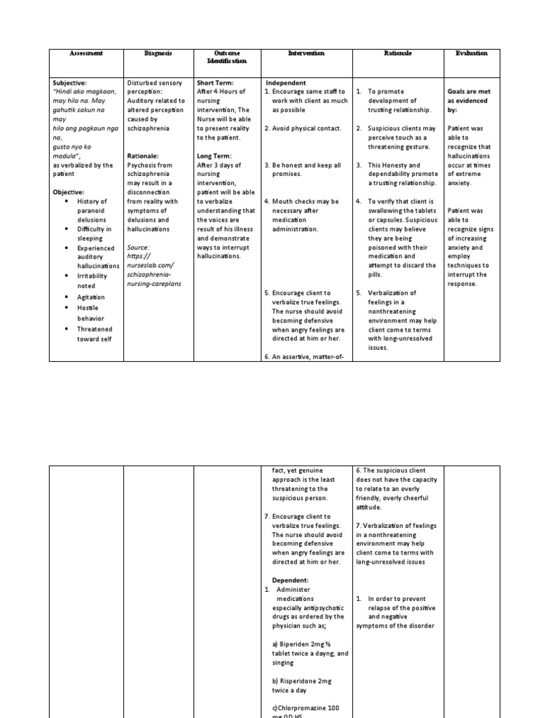 Schiz NCP | PDF | Hallucination | Schizophrenia