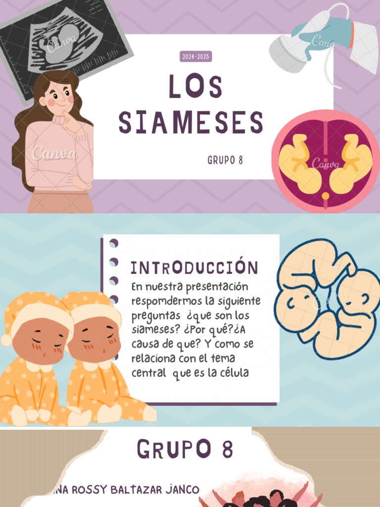 LOS Siameses: Grupo 8 | PDF | Siameses | Gemelo