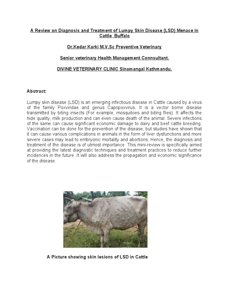 A Mini Review On Diagnosis and Treatment of Lumpy Skin Disease | PDF ...