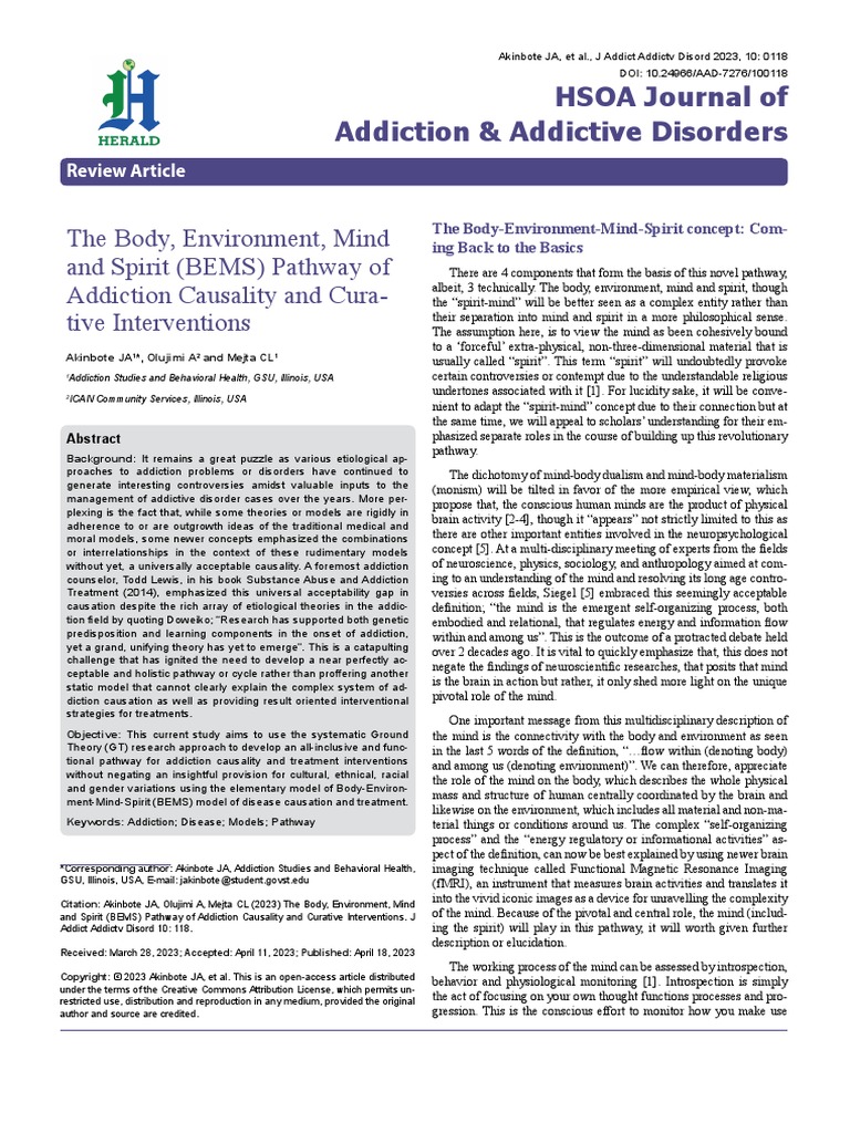 The Body Environment Mind and Spirit Bems Pathway of Addiction ...