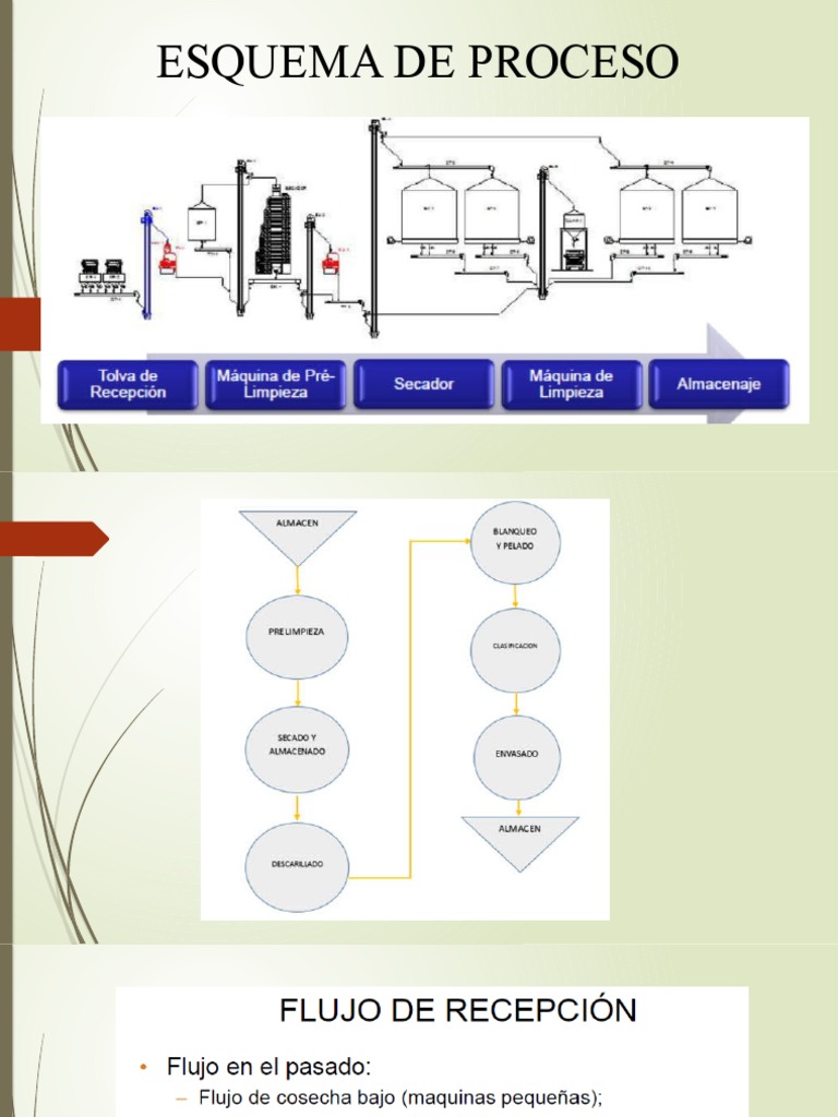 Recepcion y Lim Pieza | PDF