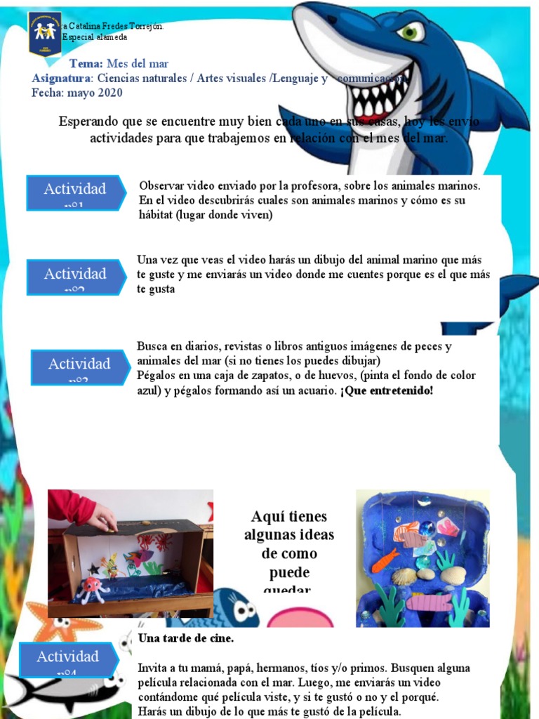 Actividad Mes Del Mar | PDF