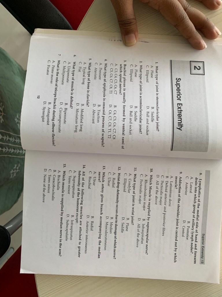 Anat (Upper Limb, Thorax) Mcqs | PDF