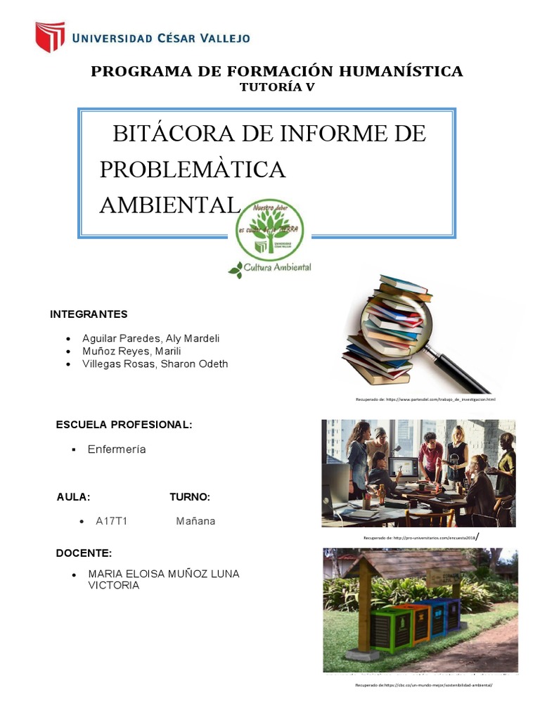 Bitácora de Problemática. Tutoria V | PDF | Entorno natural | Economias