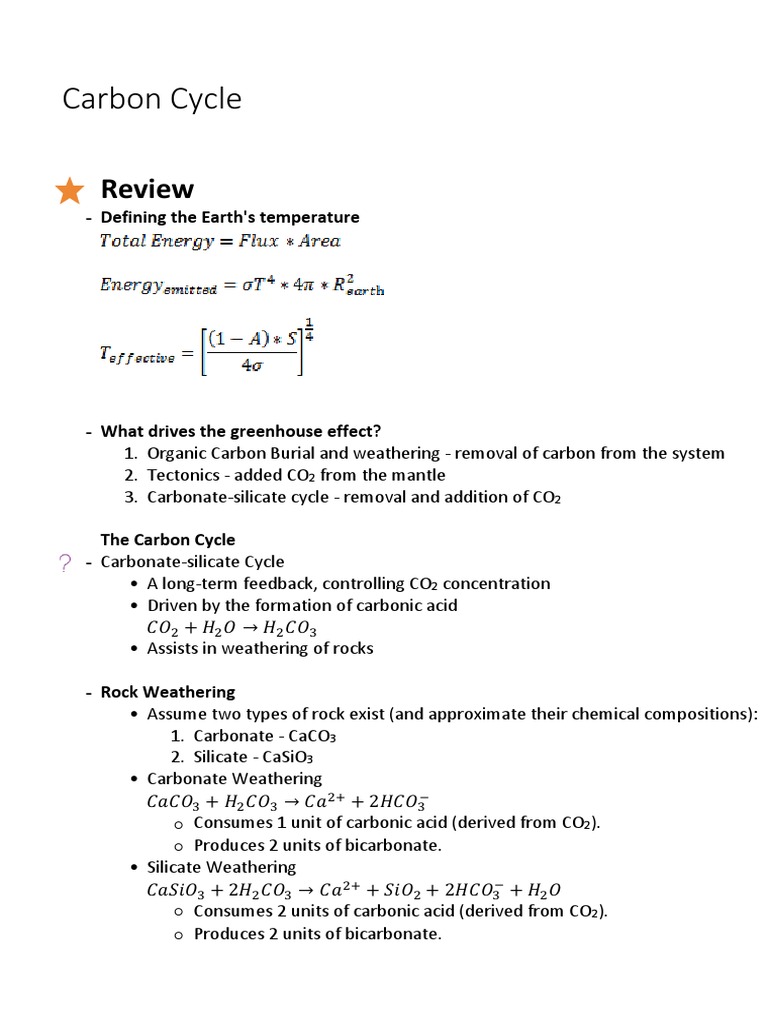 Carbon Cycle | PDF | Photosynthesis | Carbon Dioxide