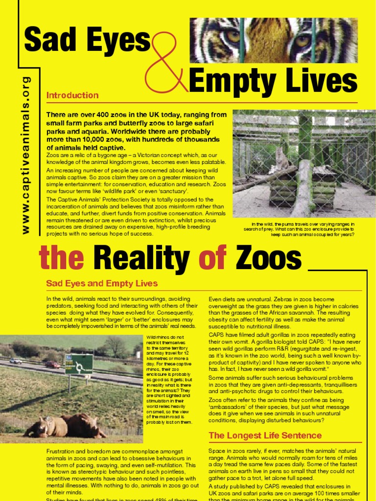 Sad Eyes Empty Lives | PDF | Zoo | Elephant