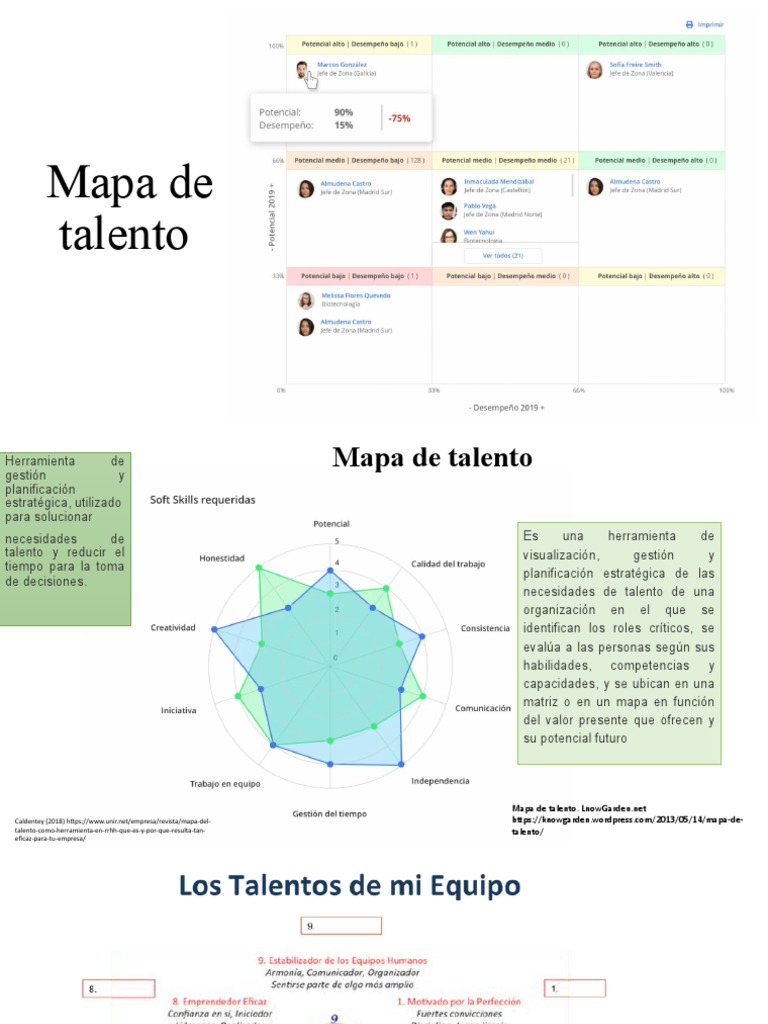 Mapa de Talento | Descargar gratis PDF | Liderazgo | Planificación