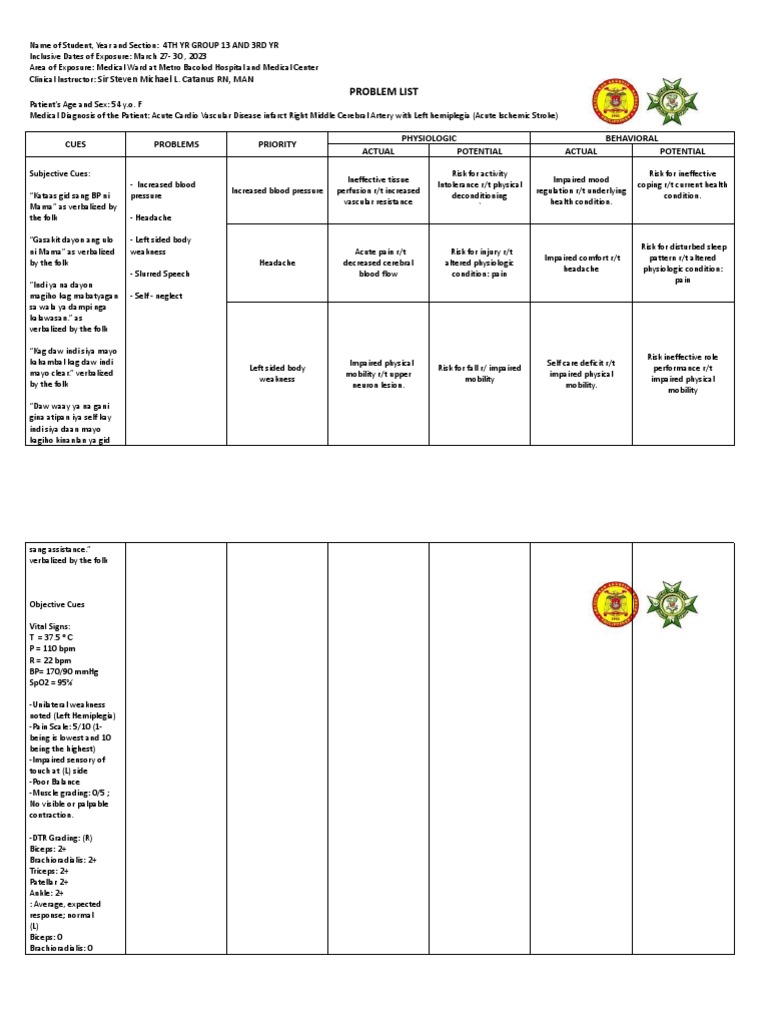Nursing Care Plan for a 54-Year Old Female Patient with Acute Ischemic ...