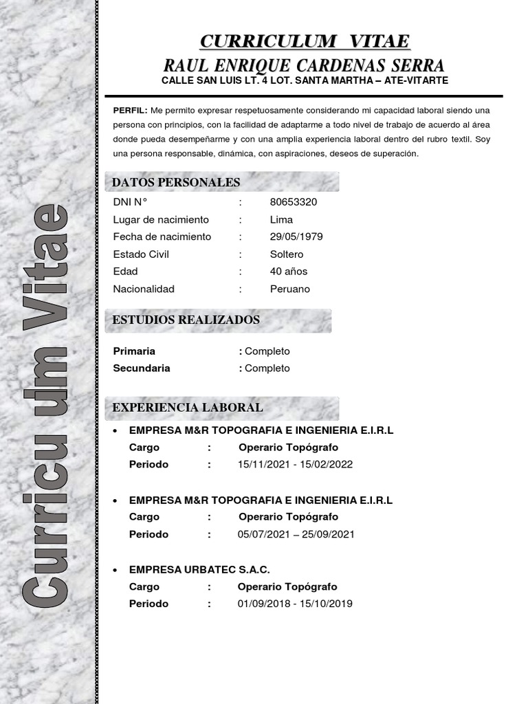 Curriculum Vitae Raul | PDF