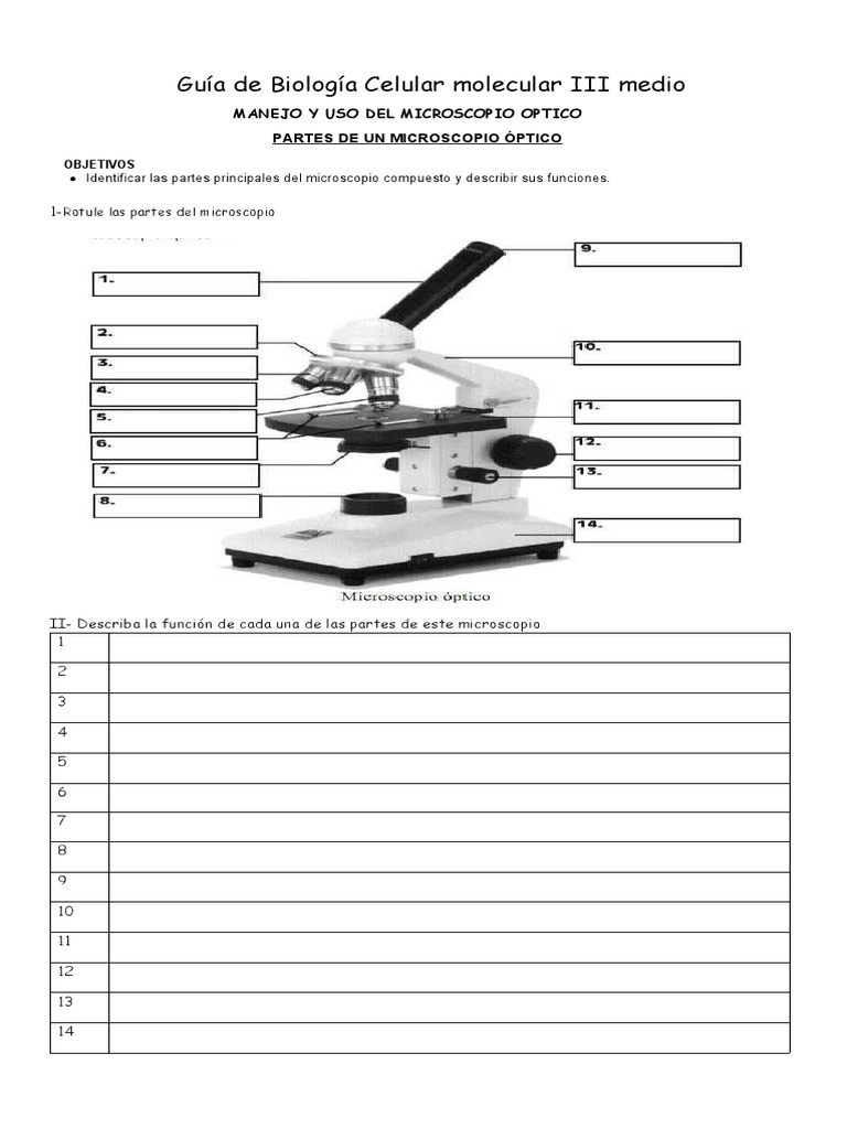 Clase 4 Guia Partes Microscopio | PDF