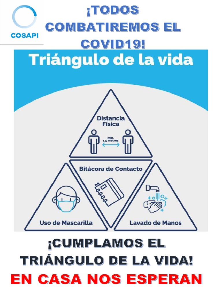Banner Triangulo de La Vida | PDF