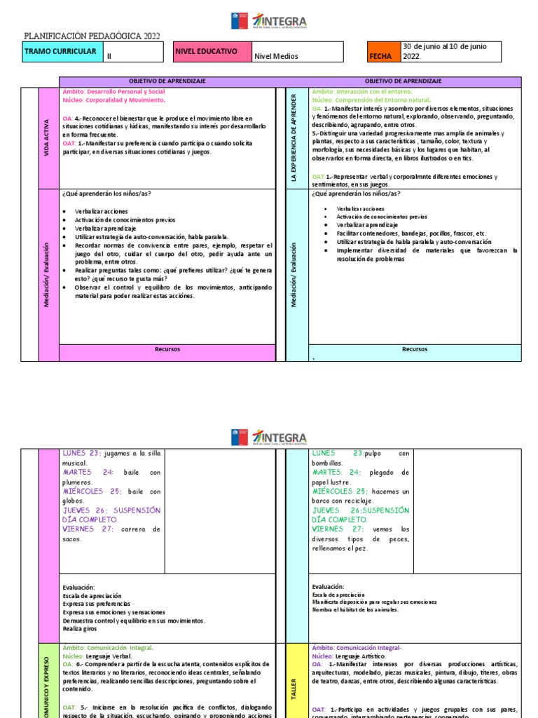 Formato Plani | PDF | Aprendizaje | Las emociones