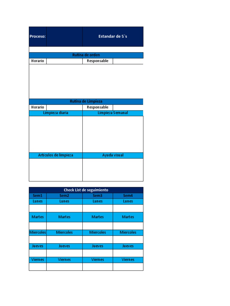 Formato Estandar 5s Areas | PDF