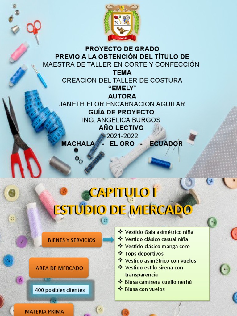 Diapositivas Flor Encarnacion | PDF