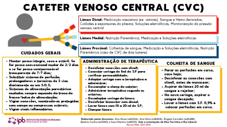 Cateter Venoso Central (CVC) | PDF