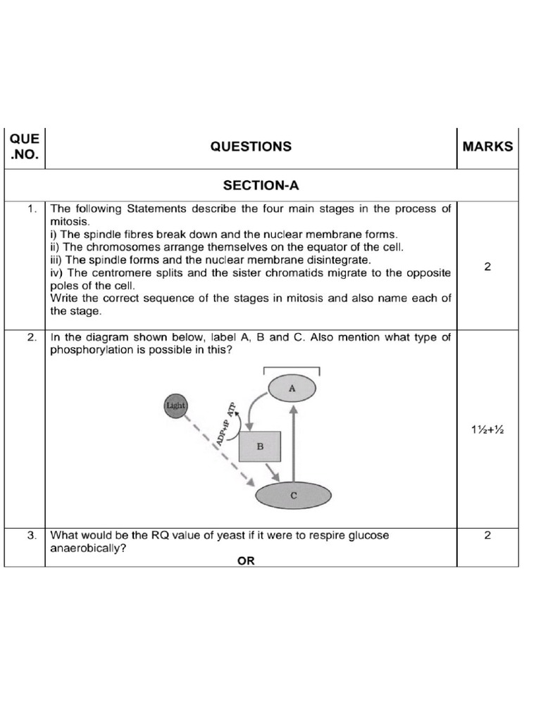 Sample Questions Biology 1 | PDF