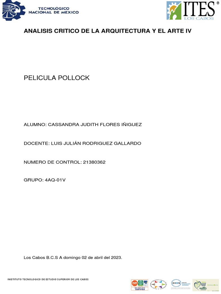 Pelicula Jackson Pollock | PDF