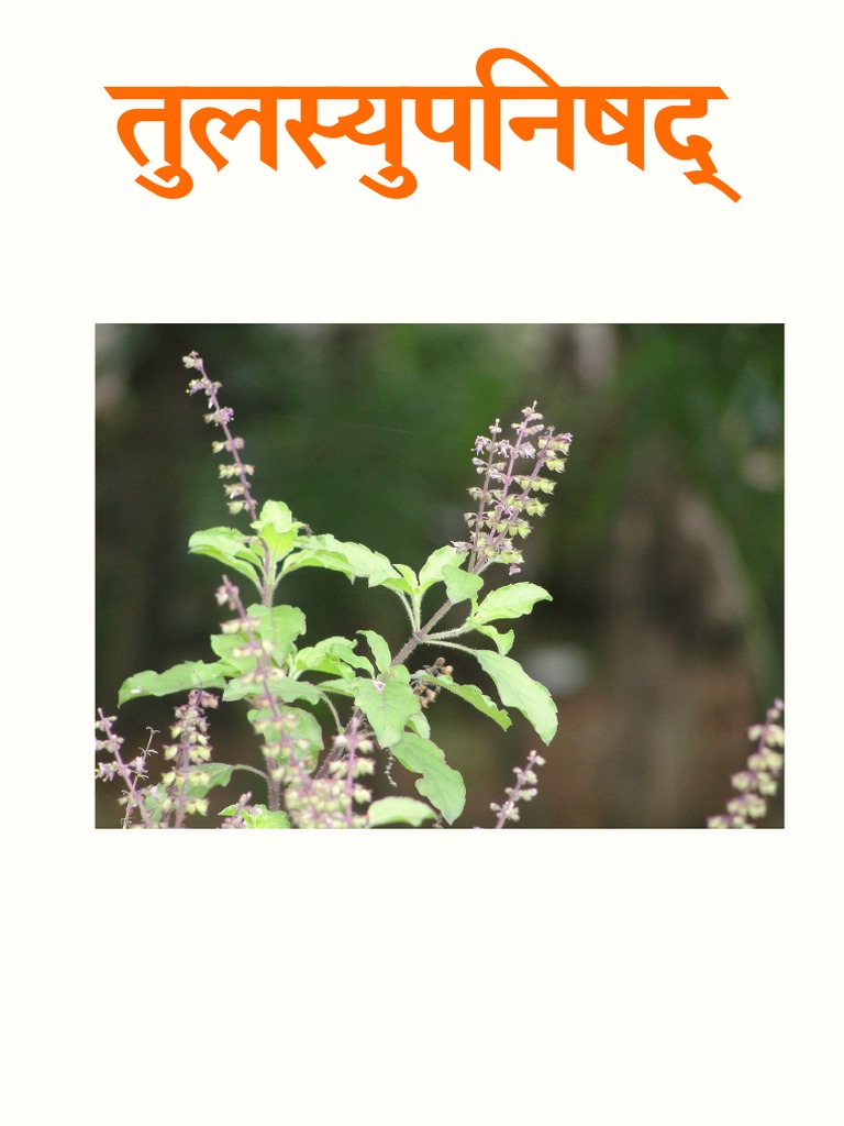 Tulasi Upanishat | PDF