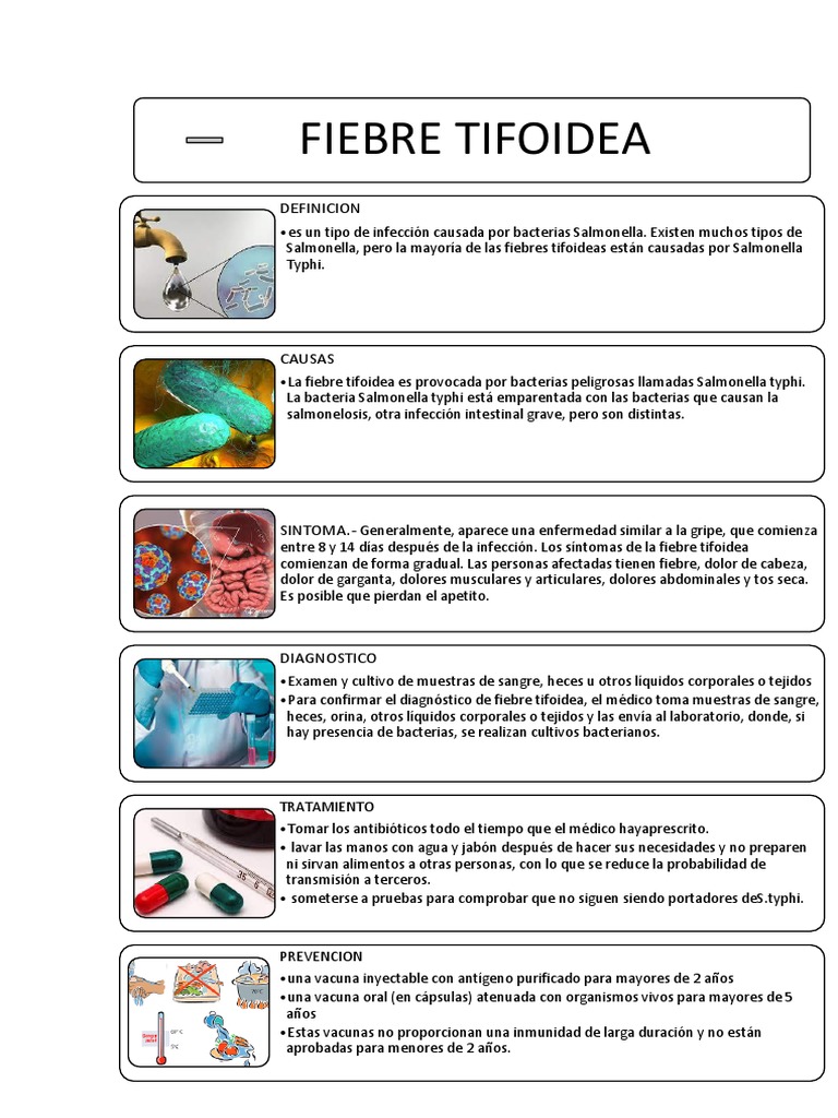 Fiebre Tifoidea: Causas y Tratamiento | PDF | Relaciones personales ...