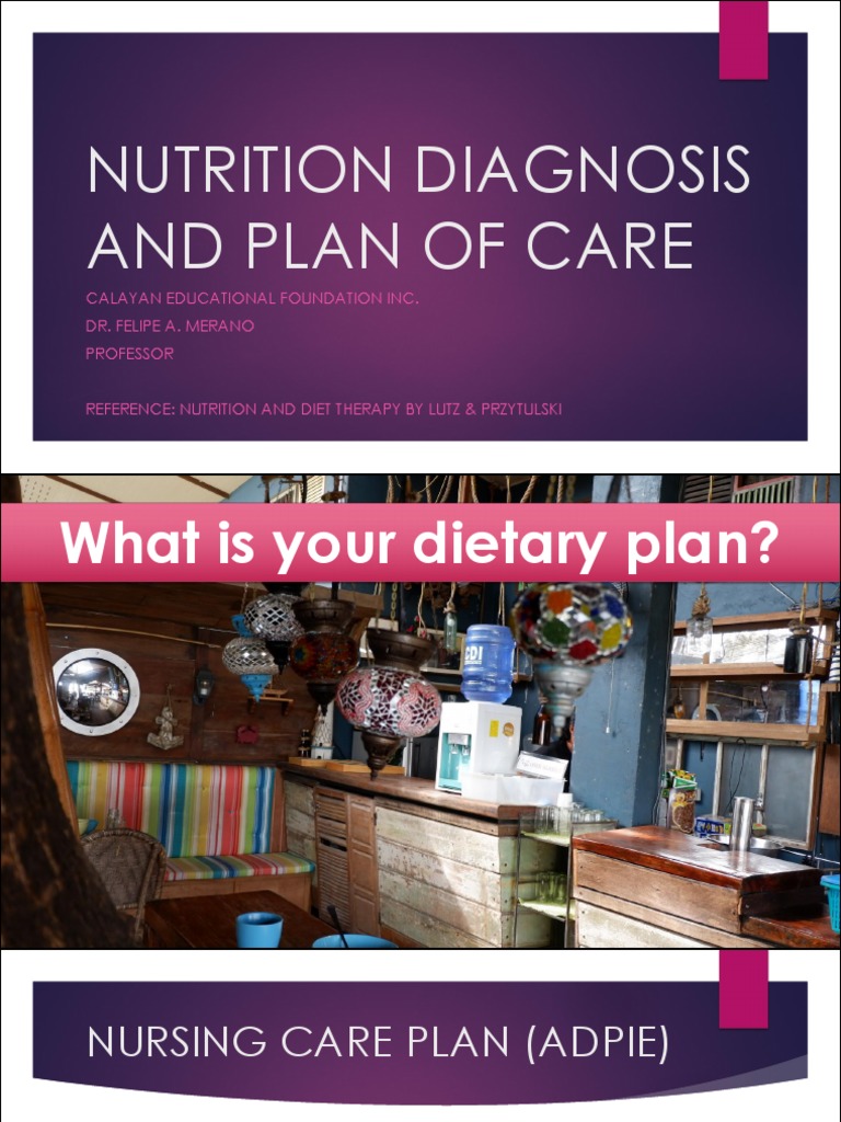 Nutrition Diagnosis and Plan of Care | PDF | Diet (Nutrition) | Diet ...