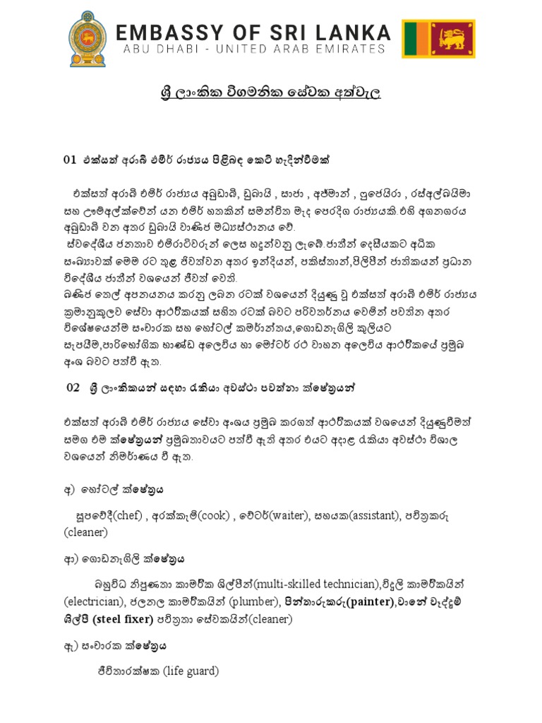 Guideline For Migrant Workers | PDF