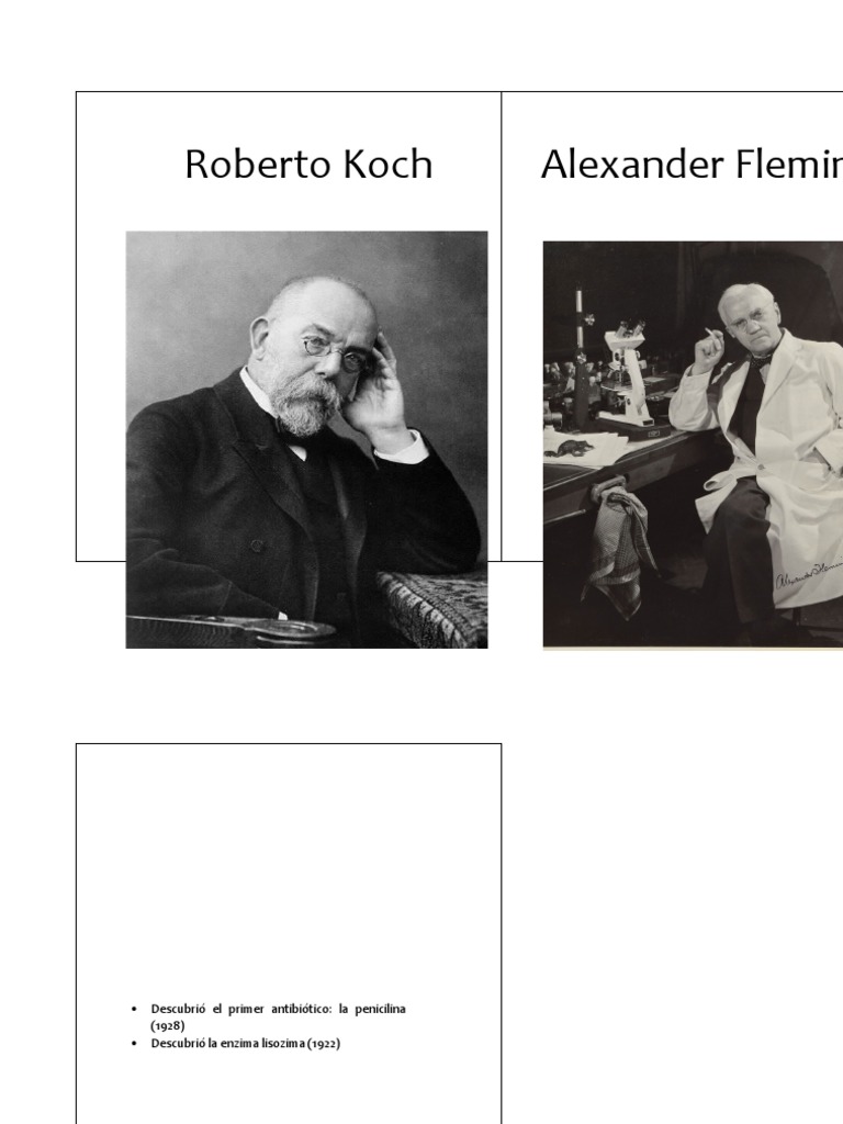 Roberto Koch Alexander Fleming | PDF