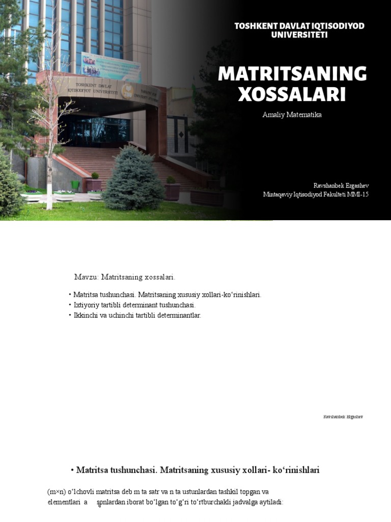 Amaliy Matematika Matritsa | PDF