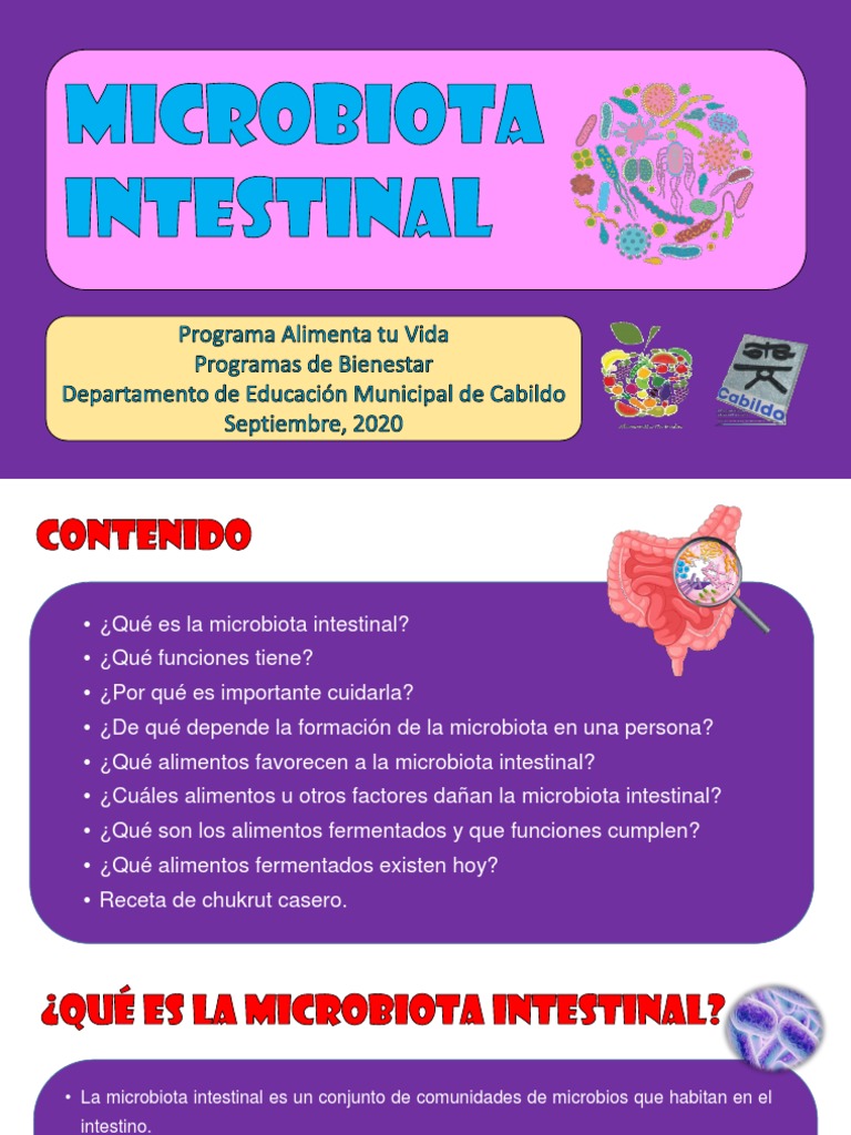 Microbiota Intestinal | PDF | Alimentos | Fermentación