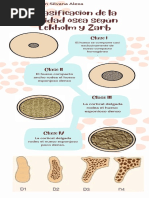 Clasificación de Seibert Los Defectos Del Reborde Alveolar | PDF