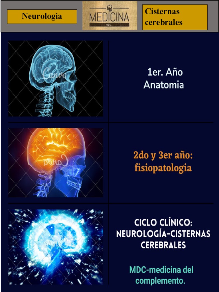 Cisternas Cerebrales y su Anatomía | PDF | Ciencia y matemáticas
