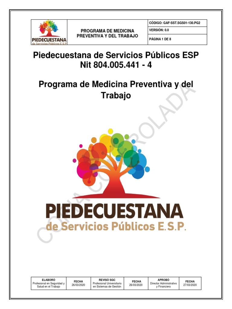Ejemplo de Un Programa de Medicina Preventiva y Del Trabajo | PDF