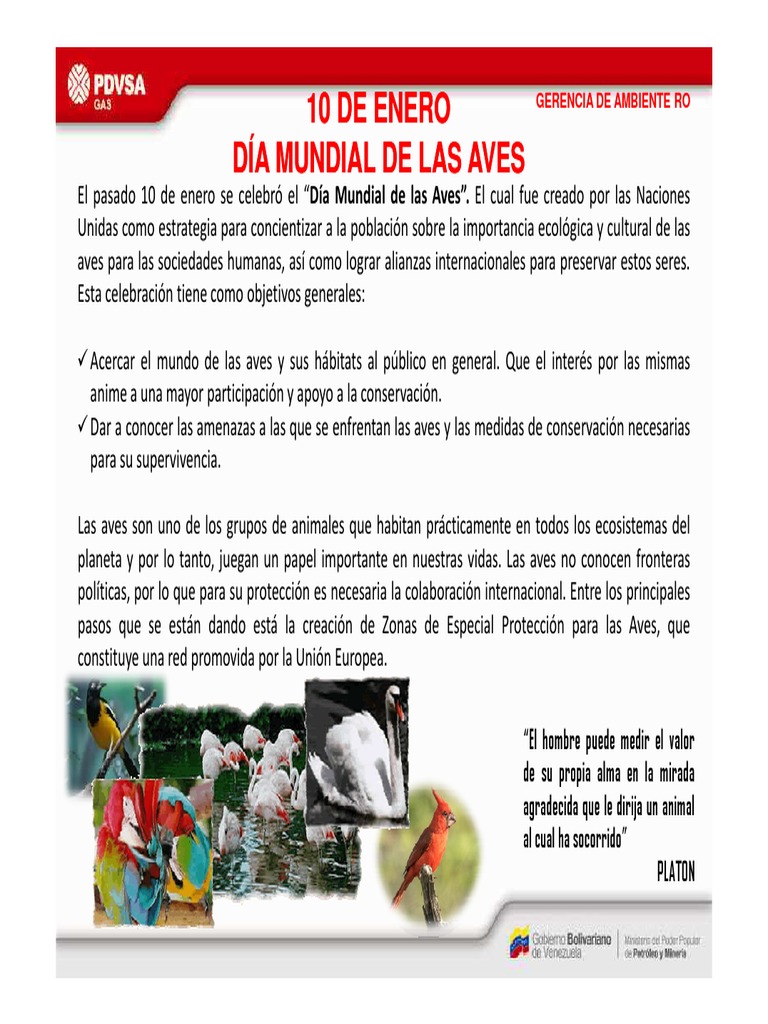 Día Mundial de las Aves: Importancia y Conservación | PDF | Ciencia y ...
