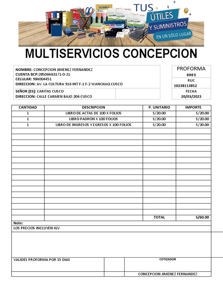 Multiservicios Concepcion: Proforma | PDF