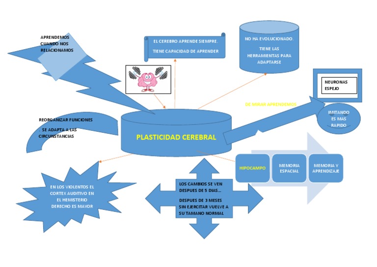 Tipos de Plasticidad Cerebral | PDF