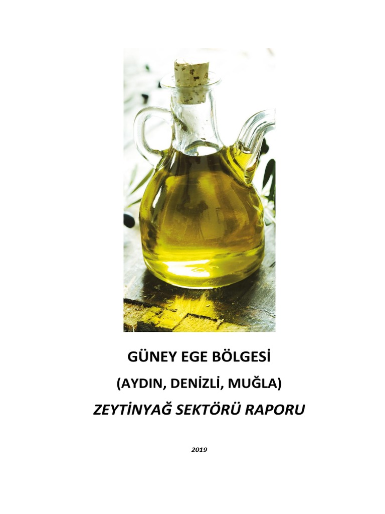 Guney Ege Bolgesi Zeytinyagi Imalati Sektor Raporu | PDF
