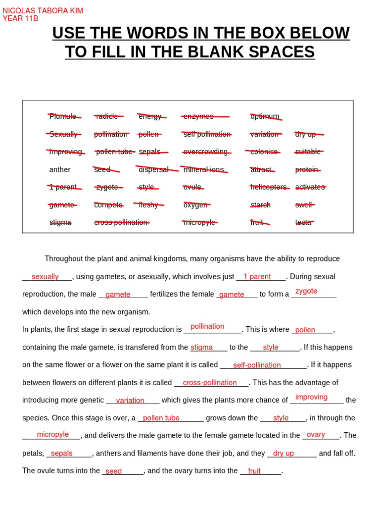 Sex Fill In The Blanks Pdf Flowers Seed