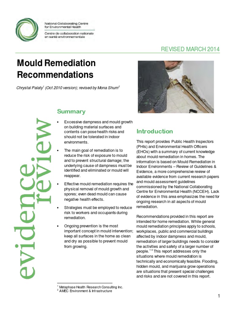 Mould Remediation Evidence Review March 2014 | PDF | Mold ...