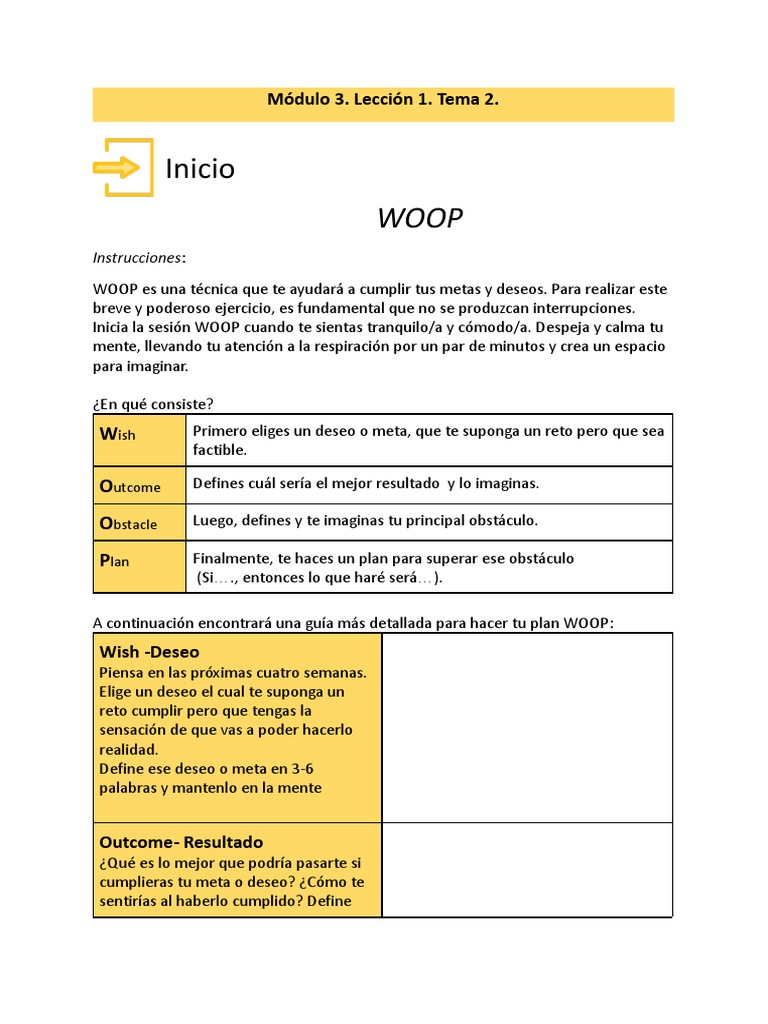 M3 - L2 - Woop | PDF