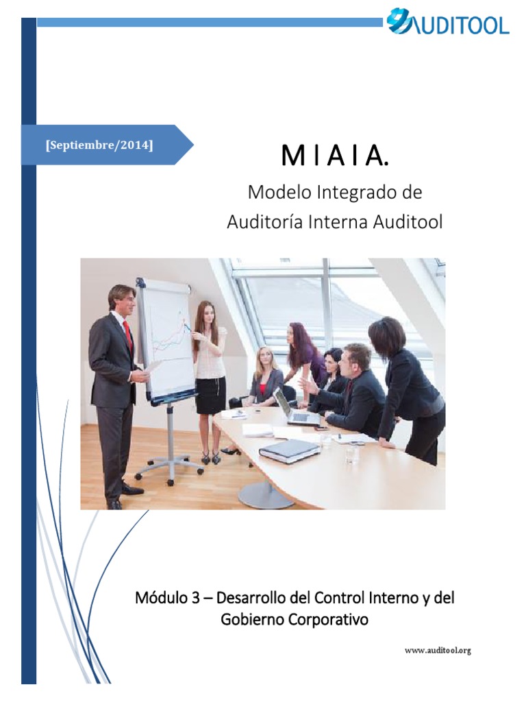 Guia MIAIA Parte III | PDF | Riesgo | Procesos de negocio