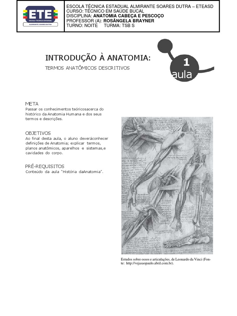 Termos Anatômicos e Planos Corporais | PDF | Corpo humano | Anatomia