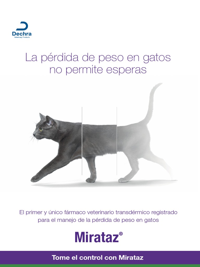 Untitled 88 KJJK | PDF | Salud y bienestar