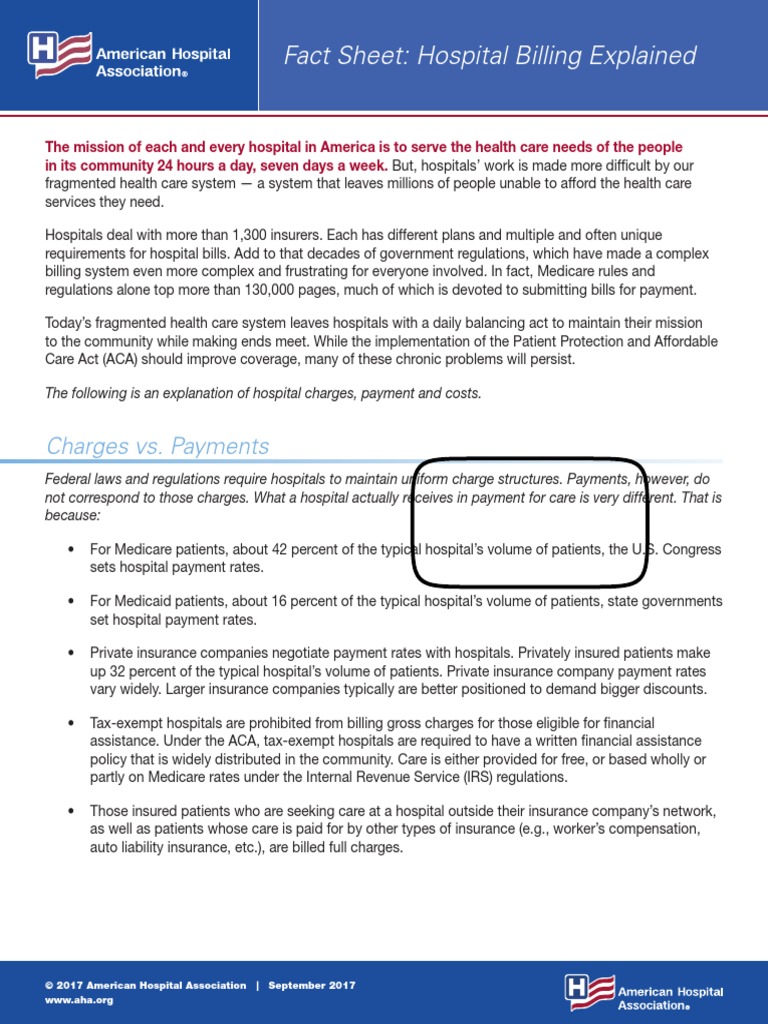 Fact Sheet: Hospital Billing Explained: Charges vs. Payments | PDF ...