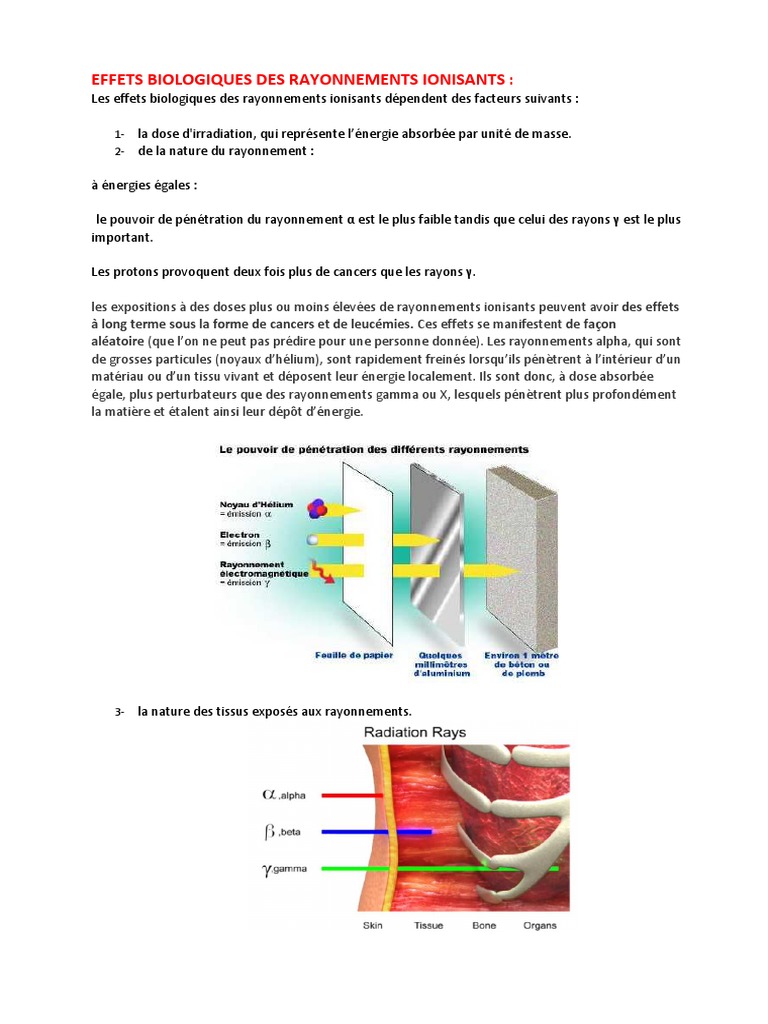 Effets Biologiques Des Rayonnements Ionisants Et Radioprotection ...